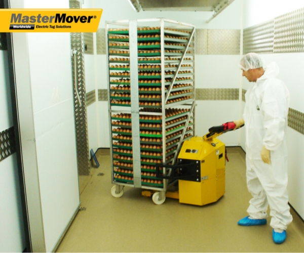 MasterMover® | Holloway America